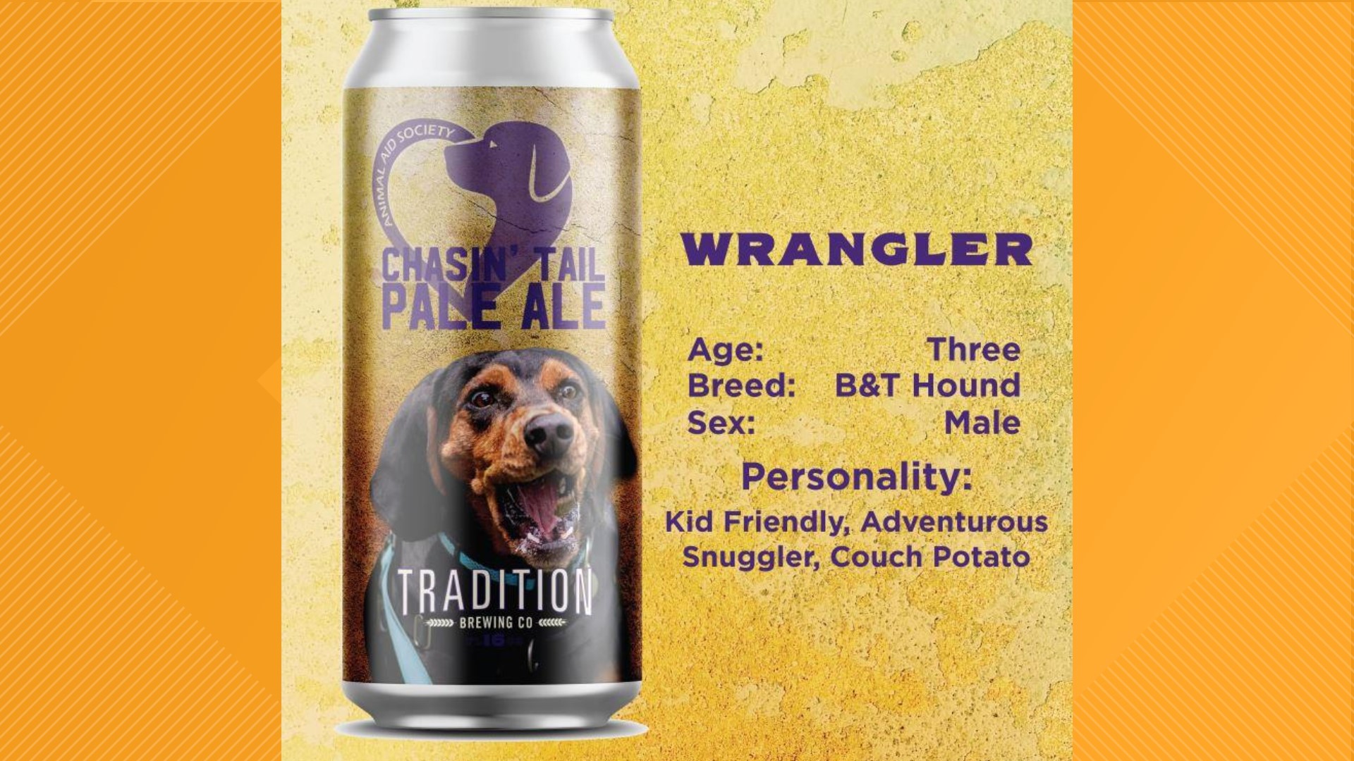 Tradition Brewing in Newport News to feature four adoptable dogs on ...