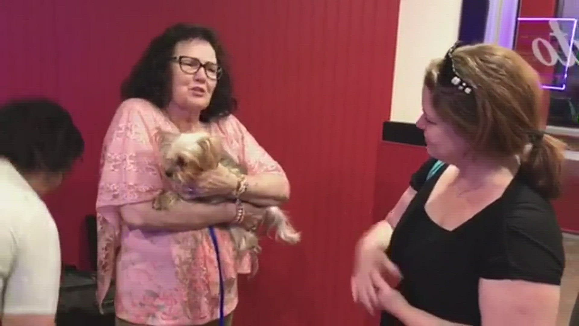 Welcome home, Coco: Dog missing for four years returns to Hampton Roads ...