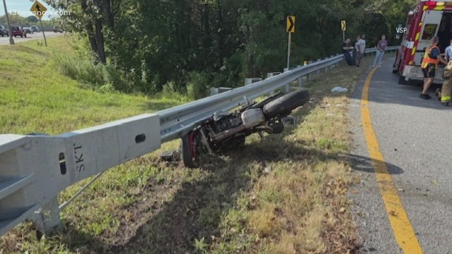 Fabio's face vs. goose roller coaster accident at Busch Gardens ...