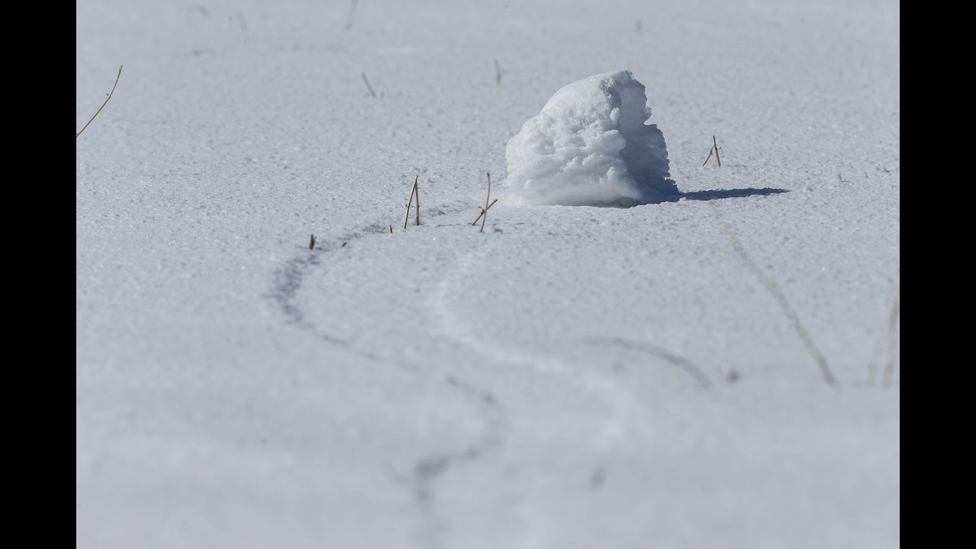Rare self-rolling snowballs show up in Wisconsin | 13newsnow.com