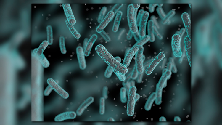 E. Coli sickens over 500 at Tennessee zipline attraction | 13newsnow.com