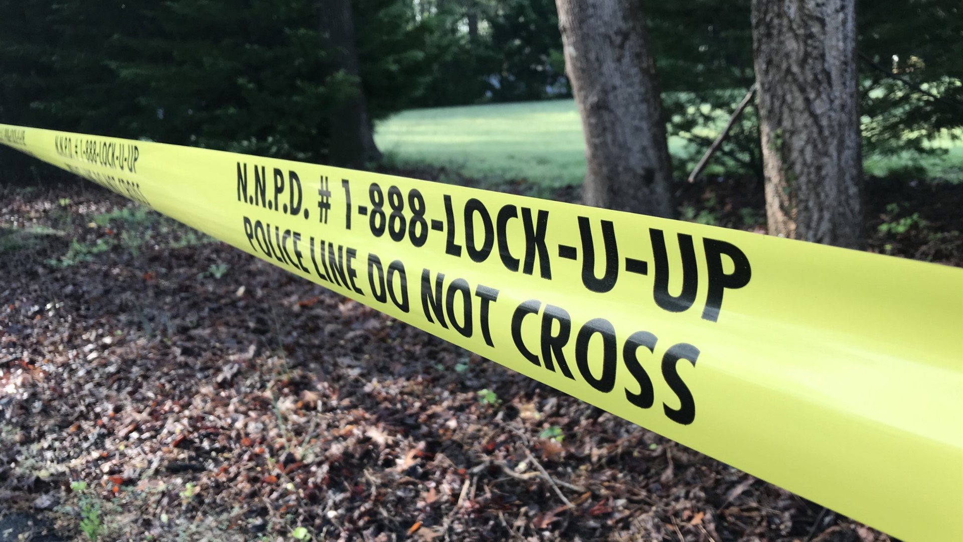 A look back at crime statistics in Hampton Roads | 13newsnow.com