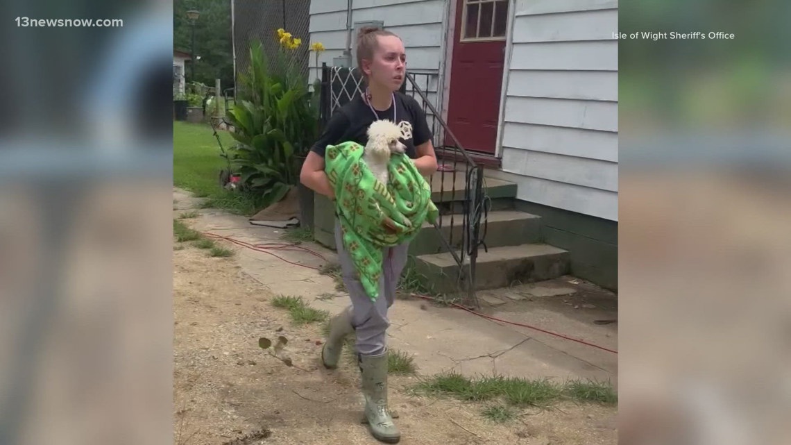 Over 40 animals found in extremely poor condition at property in ...