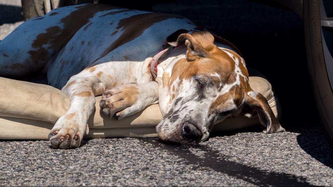 CBBT: Toll relief fund to be set up for drivers who were stuck on ...