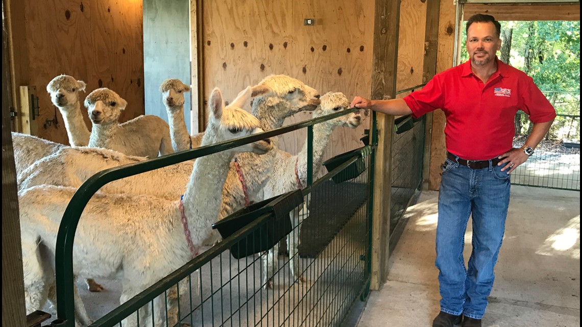 INSIDE ACCESS: Virginia Beach Alpaca farm a 'labor of love' for Navy ...