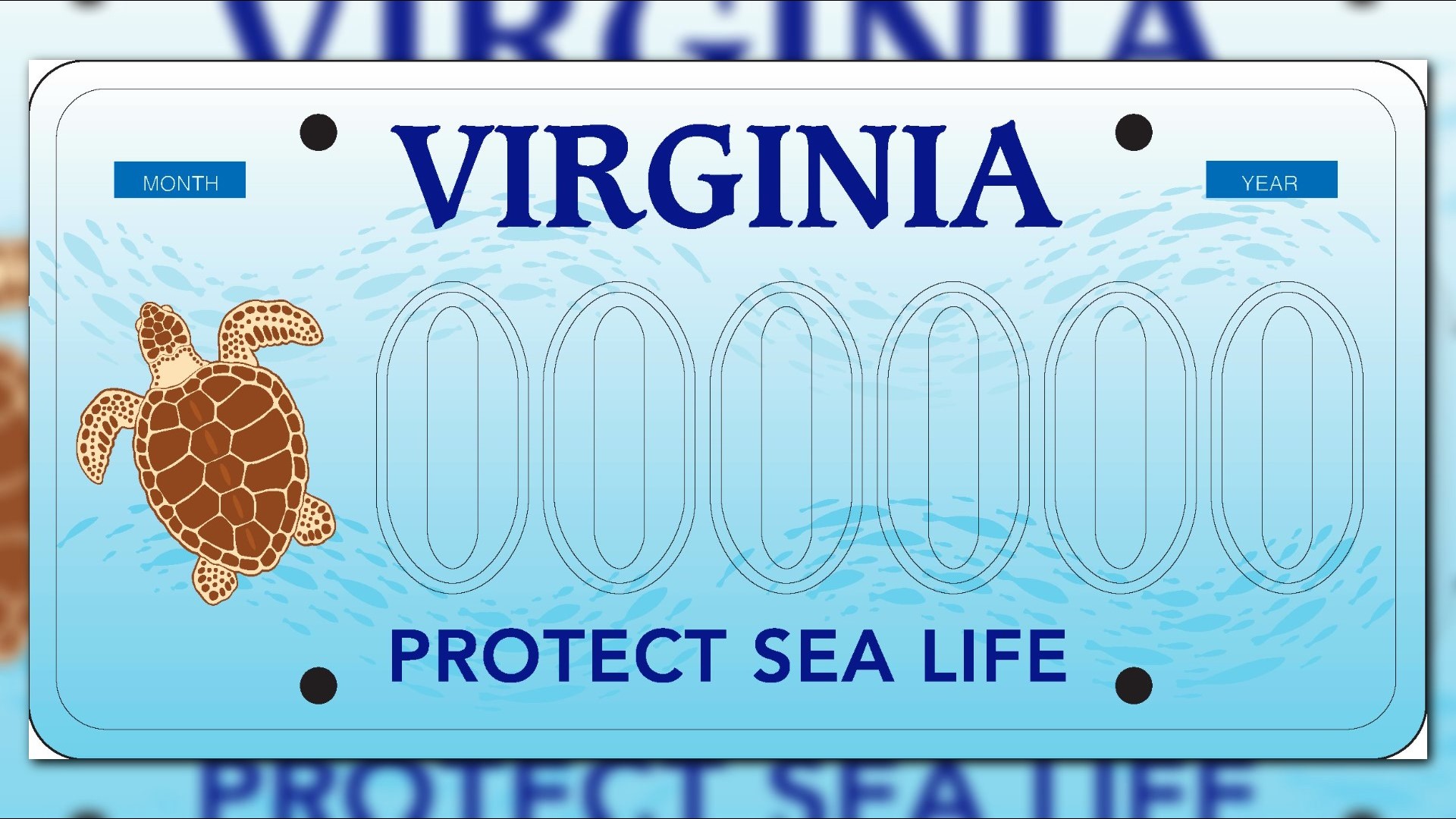 New Virginia license plate supports ocean conservation | 13newsnow.com