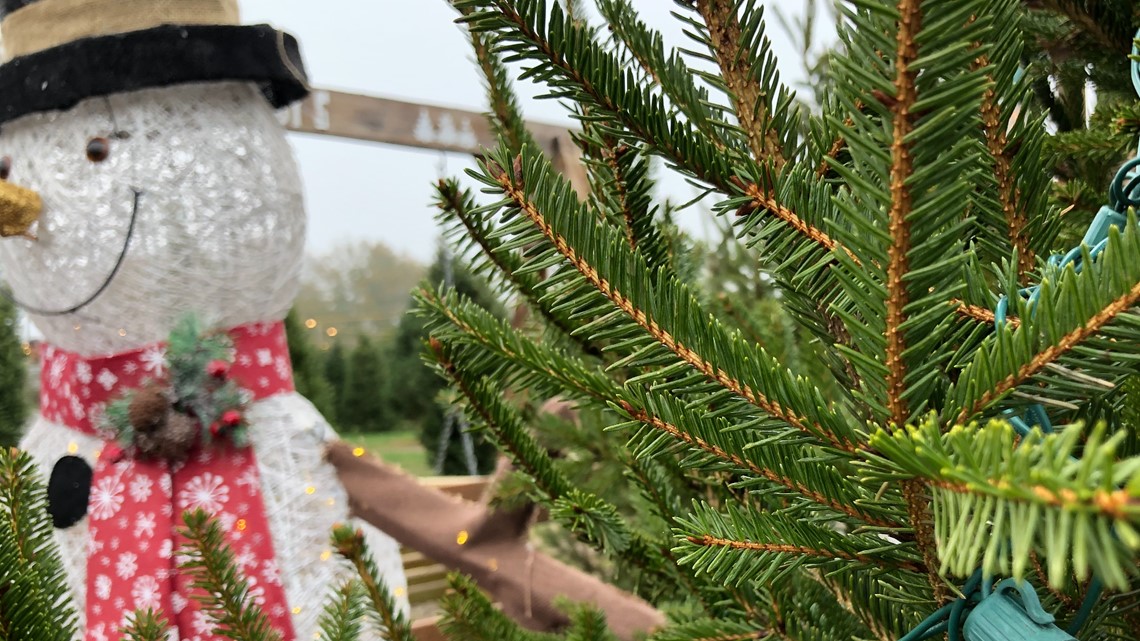 Virginia Beach EMS to give free Christmas trees to volunteer first ...