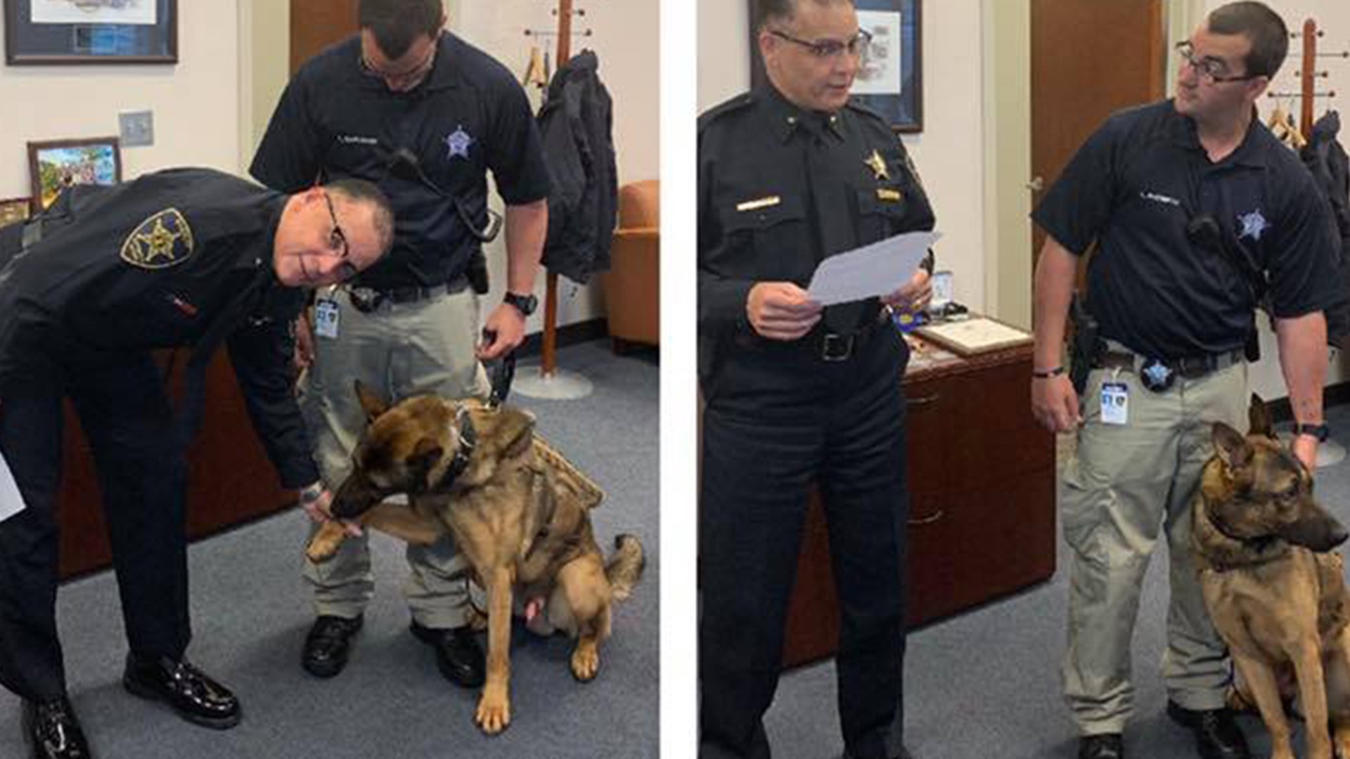 Portsmouth Sheriff's Office welcomes a new K-9 | 13newsnow.com