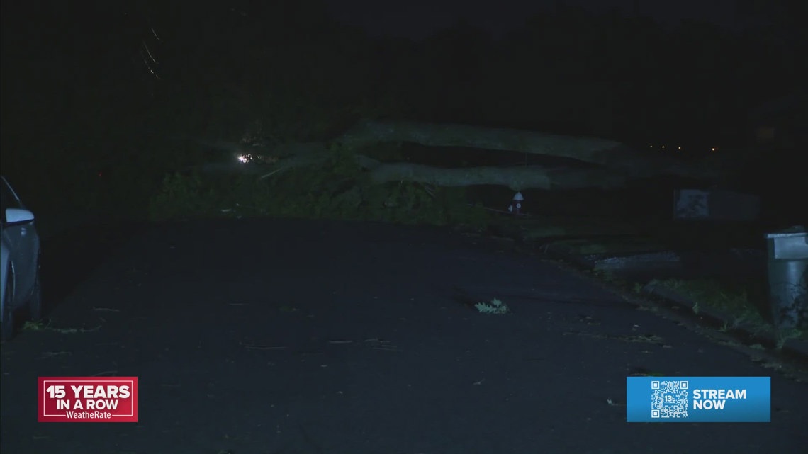 Hampton residents describe the moment a tree fell in their neighborhood ...