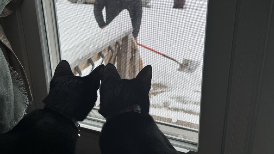 Stunning scenes from a record-breaking snowstorm in coastal Virginia ...