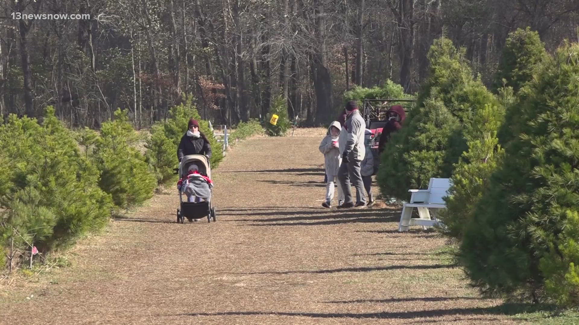 Boomer Family Christmas Tree Farm in Virginia Beach opens for the ...
