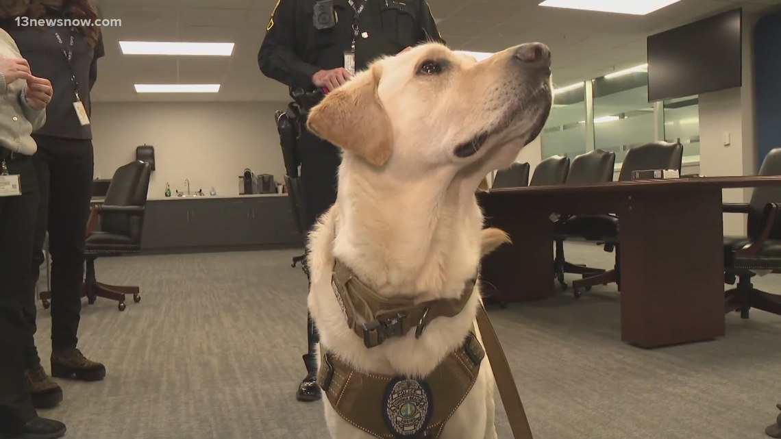 Virginia Beach police introduce new crime-fighting K9 'Chip ...