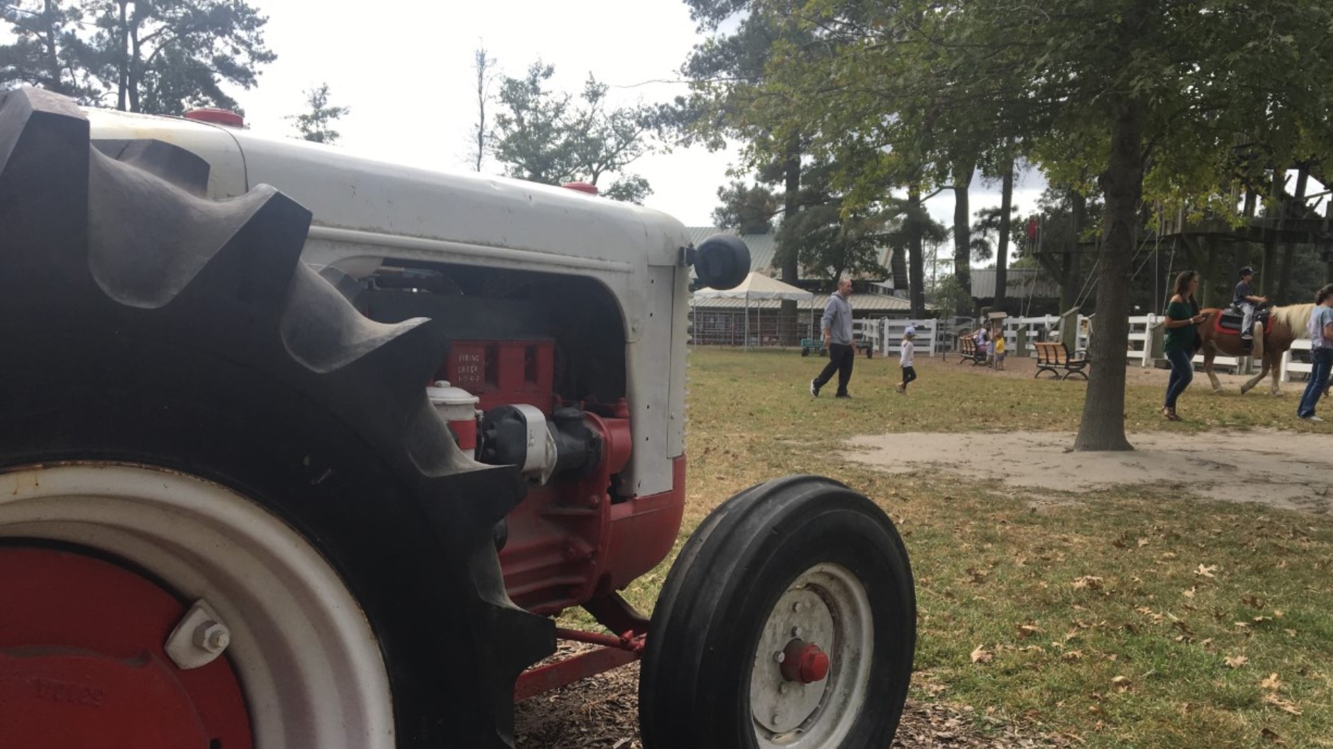 Bird flu at Virginia Beach Hunt Club Farm | 13newsnow.com