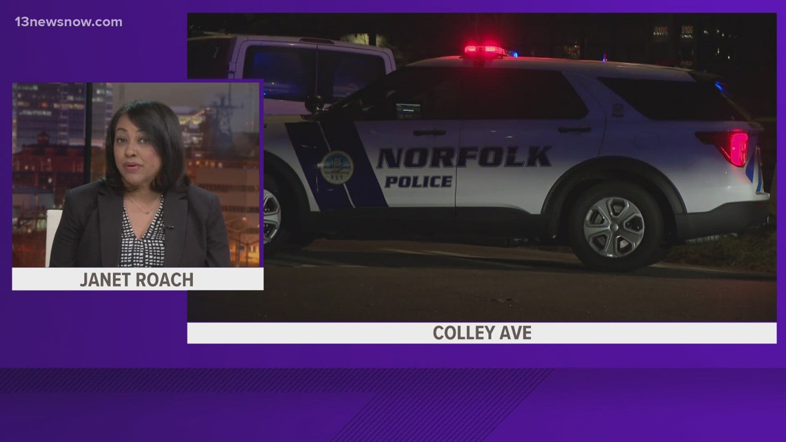 Man and his two dogs have died after being hit on Colley Avenue ...