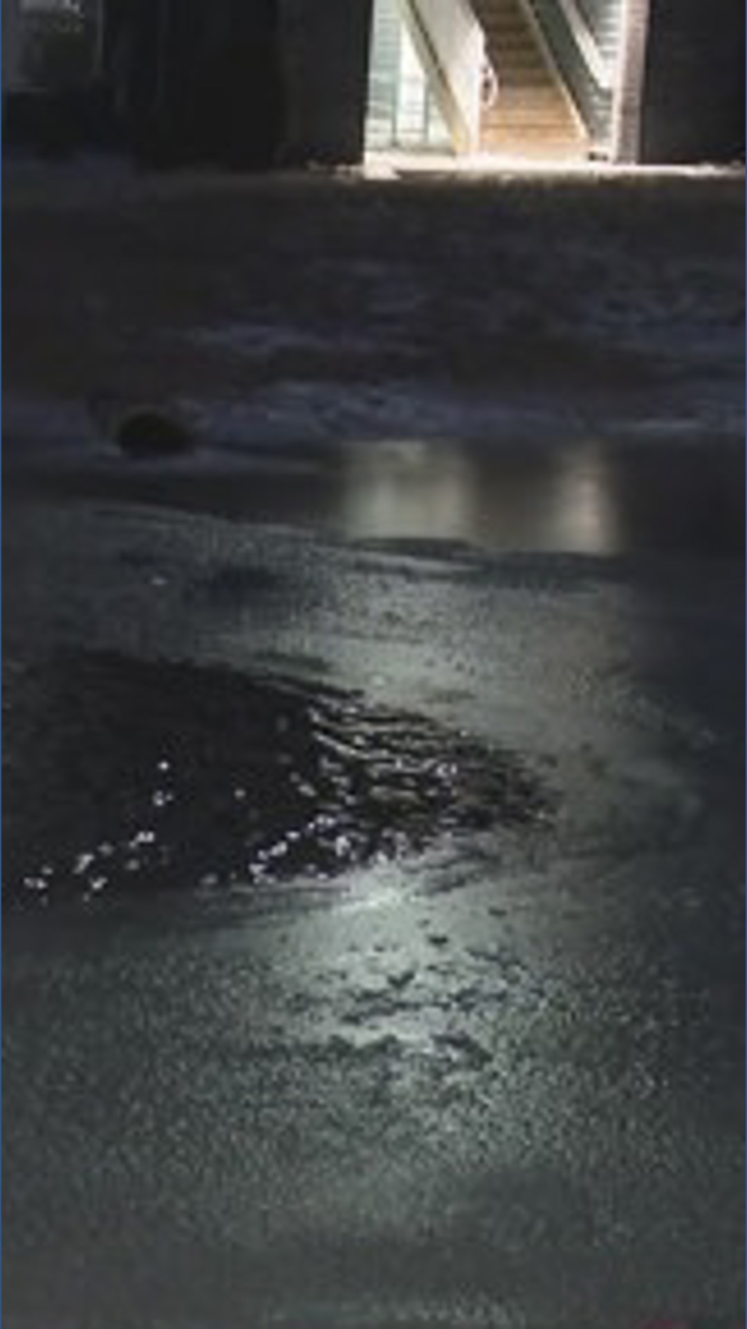 Child falls through ice on Norfolk pond | 13newsnow.com