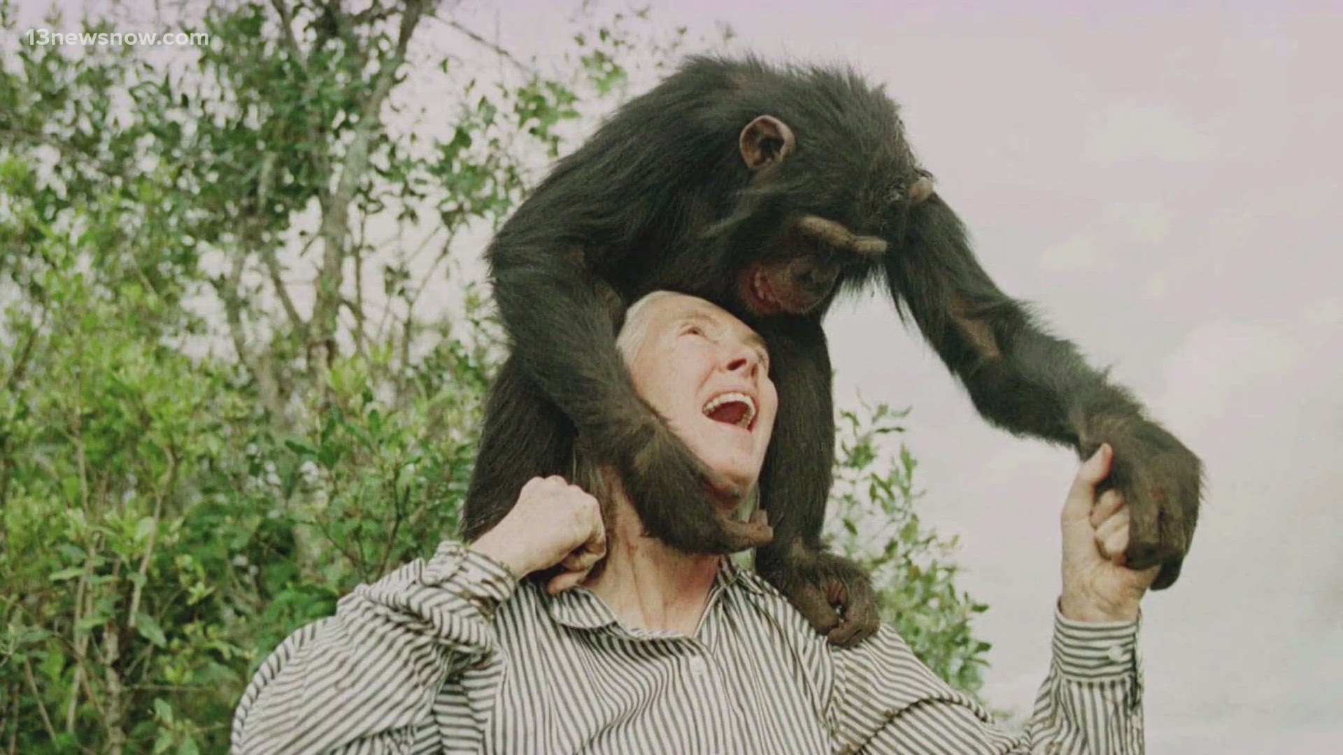 Fellow doctors mourn death of longtime CHKD pediatric physician ...