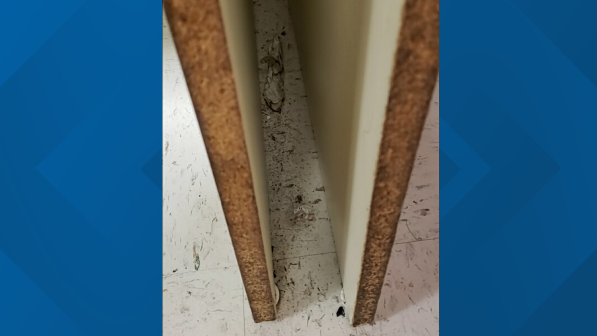 Rodents, poop found throughout elementary school in Norfolk | 13newsnow.com