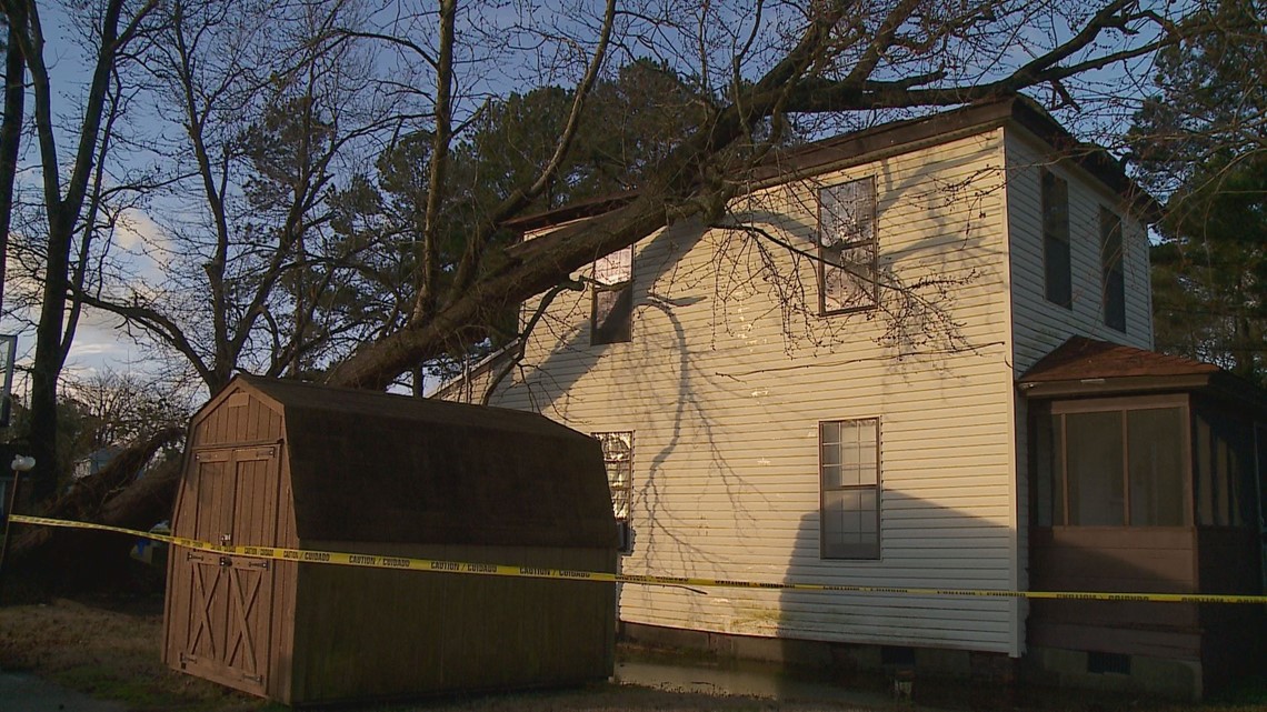 Giant tree falls on house in Suffolk after storms, heavy winds ...