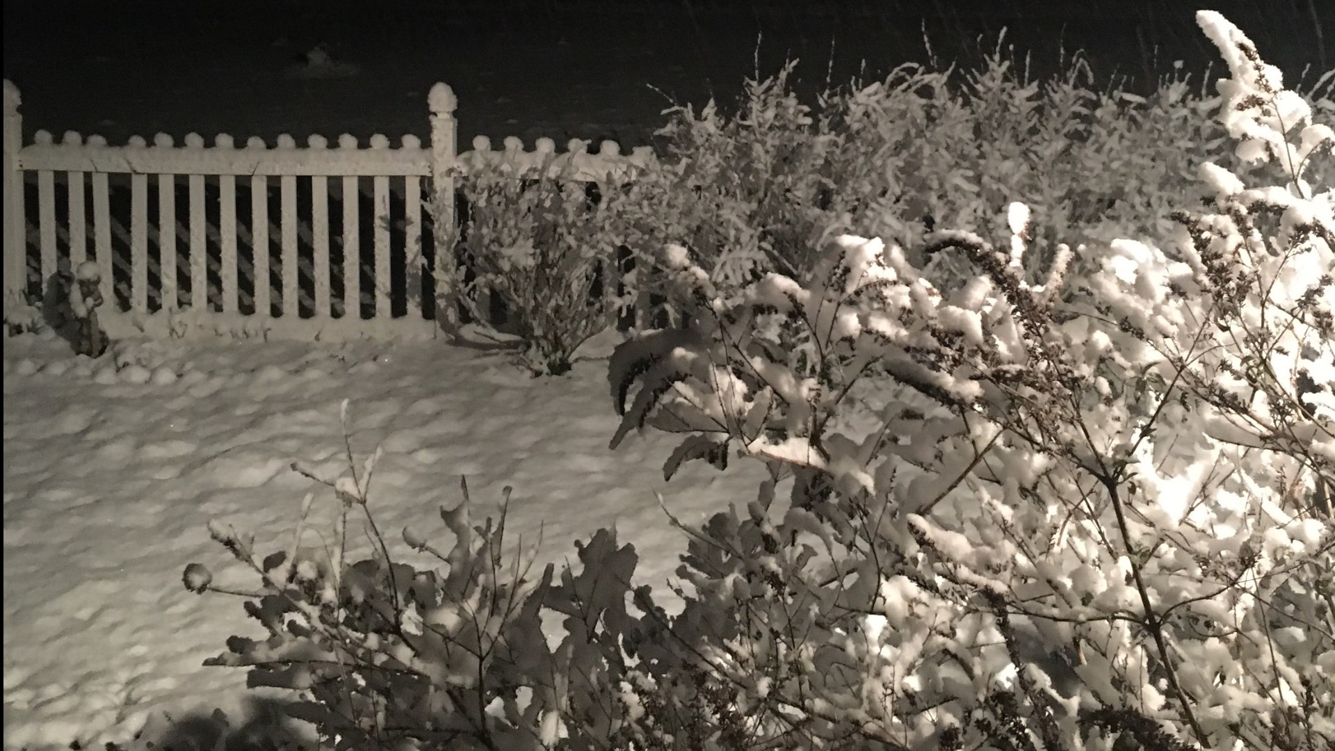 So how much snow did Hampton Roads and North Carolina get? | 13newsnow.com