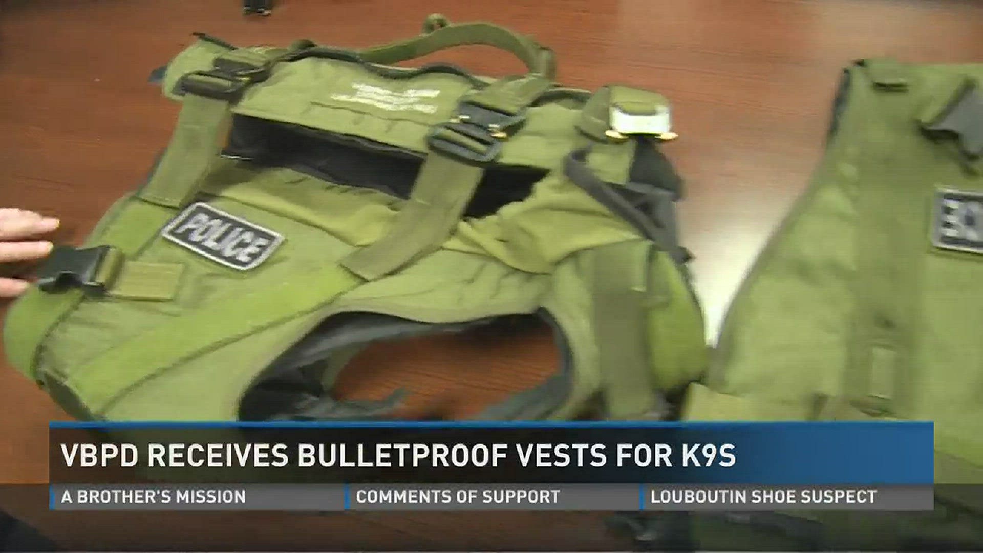 Ballistic vests presented to K9 officers in Virginia Beach | 13newsnow.com