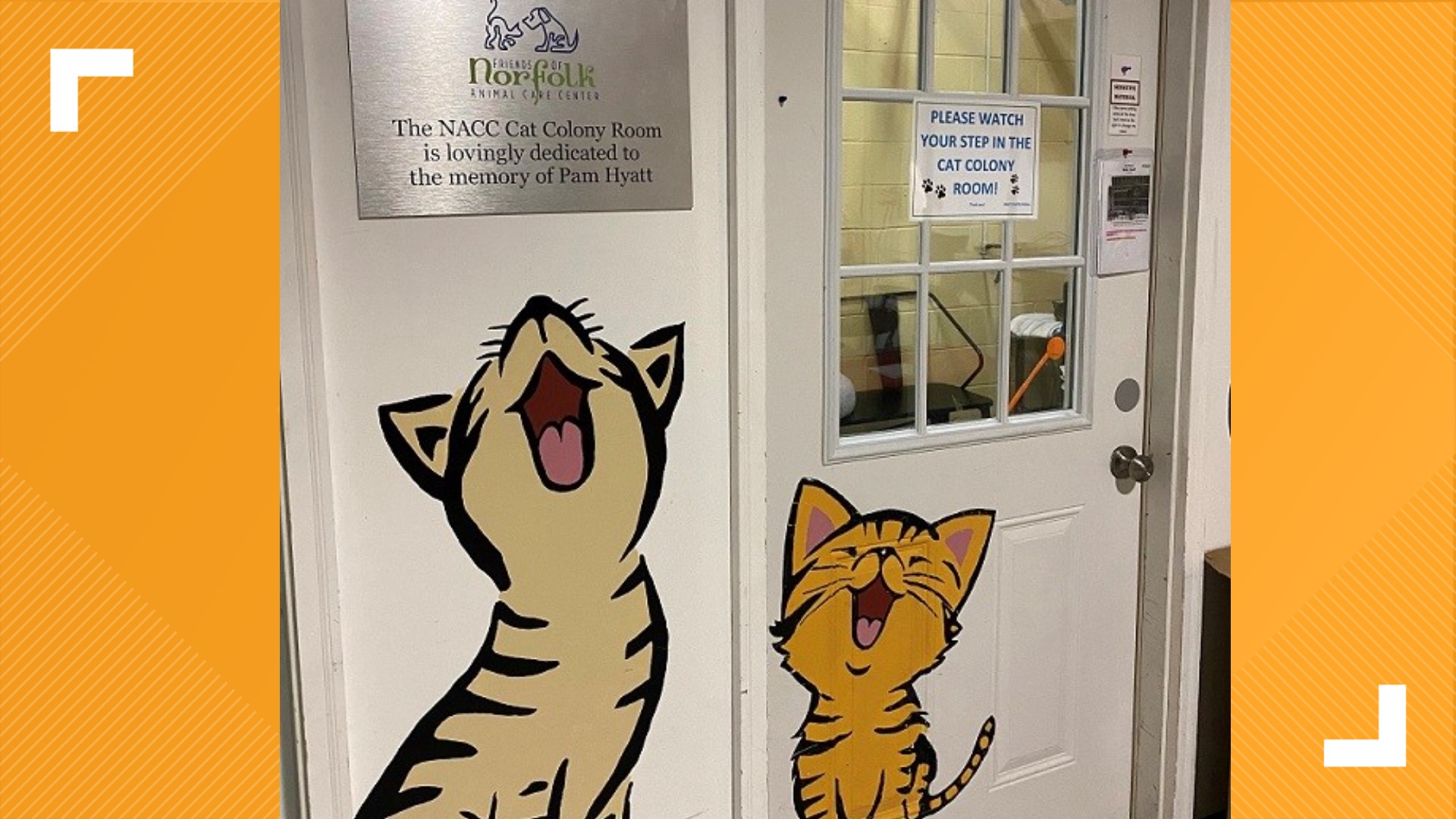 Cat colony room in Norfolk named in honor of longtime animal shelter ...