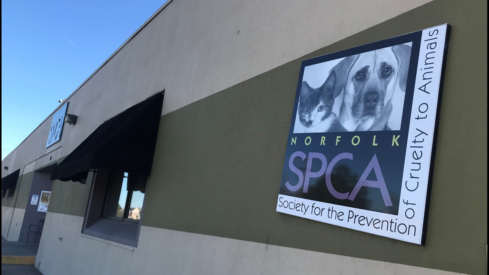 PHOTOS: Norfolk SPCA renovations | 13newsnow.com