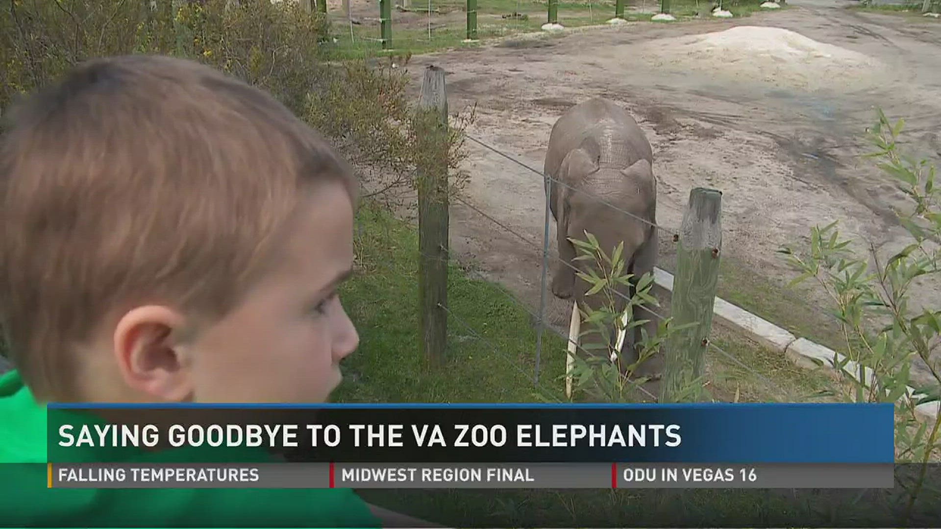 Virginia Zoo plans farewell events for two elephants | 13newsnow.com
