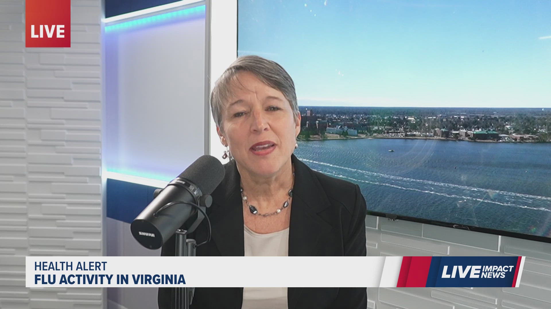 Health alert: Flu activity in Virginia | 13newsnow.com