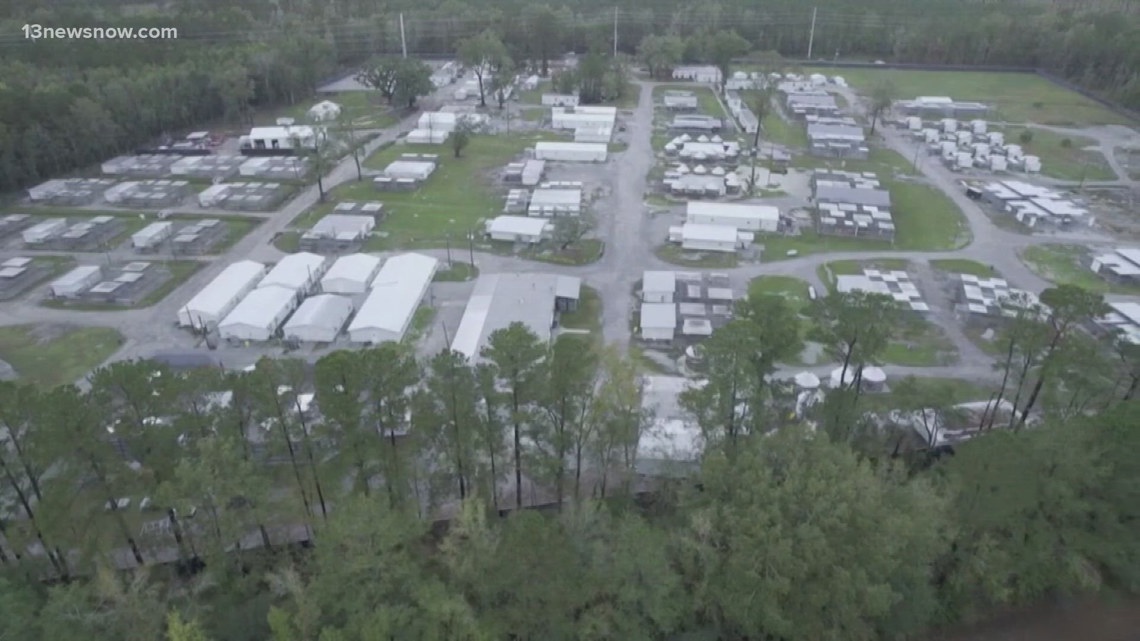 43 monkeys escape South Carolina lab: Expert reacts | 13newsnow.com