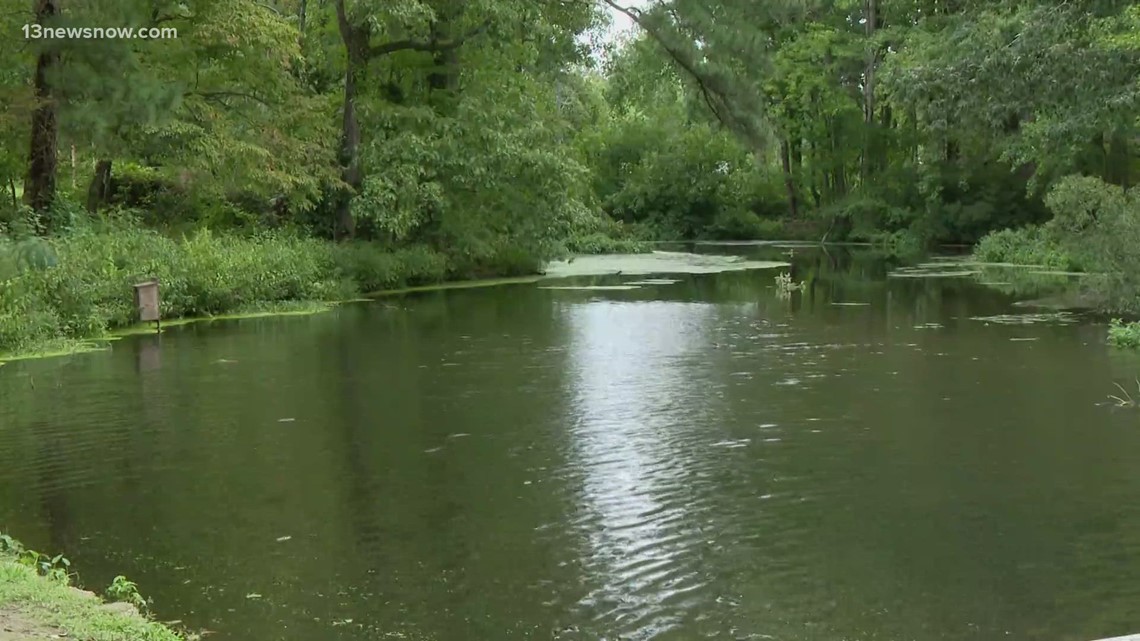 Future of Lake Conrad 2 in Virginia Beach unclear, neighbors point to ...
