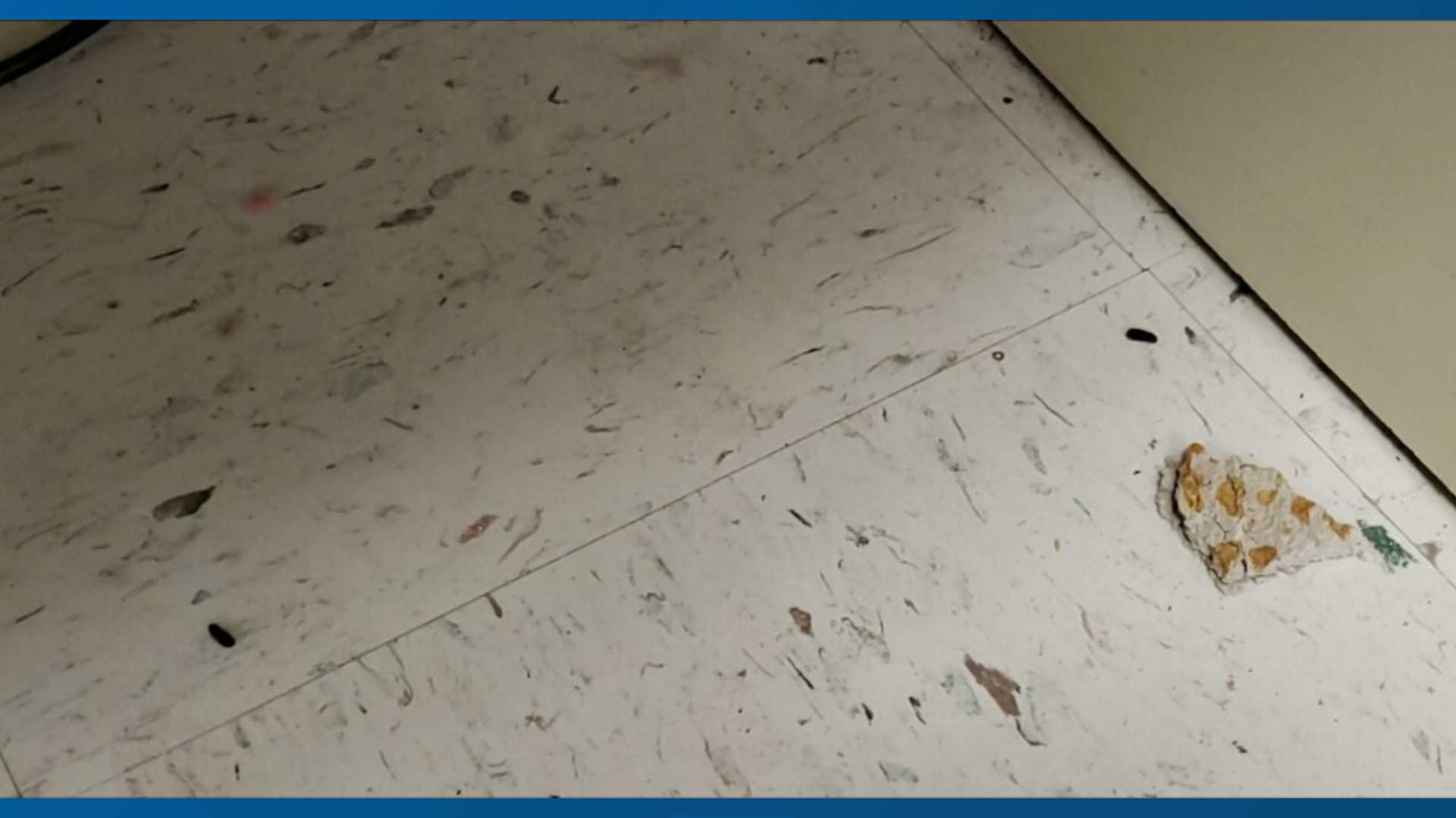 Rodents, poop found throughout elementary school in Norfolk | 13newsnow.com