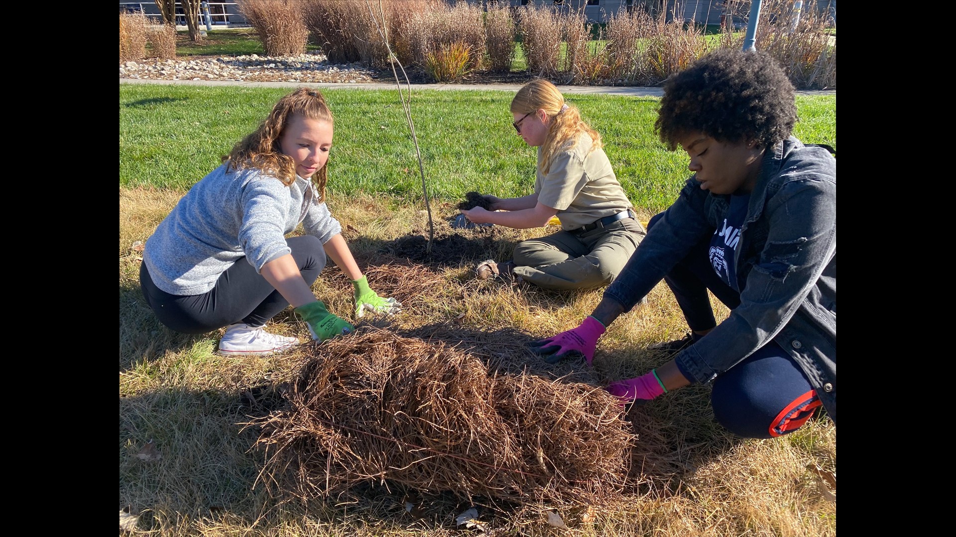 ODU nursing students plant trees to help prevent runoff | 13newsnow.com