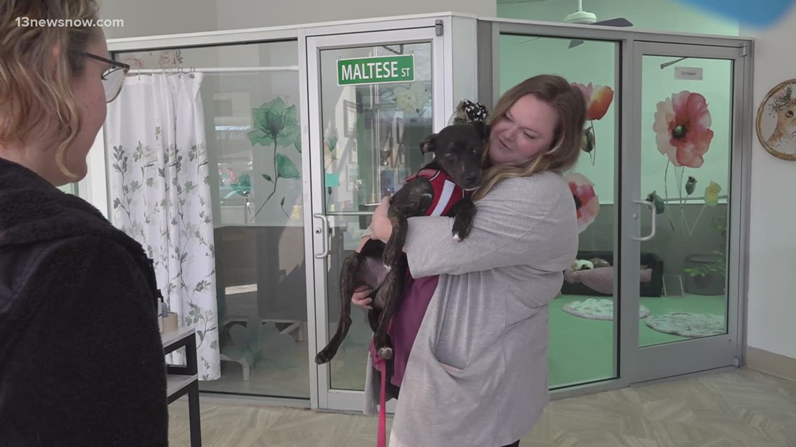 Paws for Charity: How to help Hope for Life Rescue | 13newsnow.com