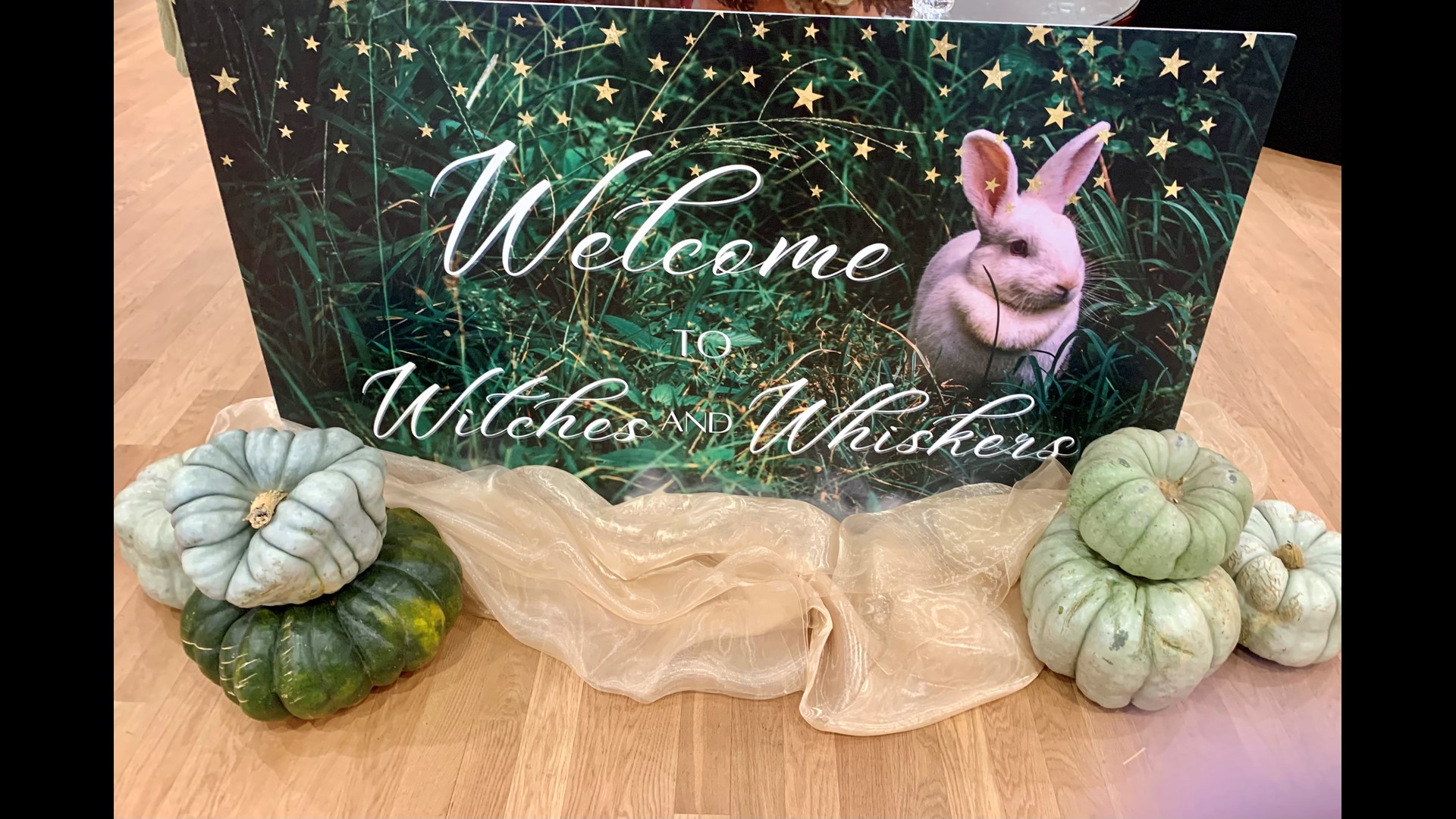 Norfolk SPCA hosts its annual 'Witches and Whiskers' luncheon ...
