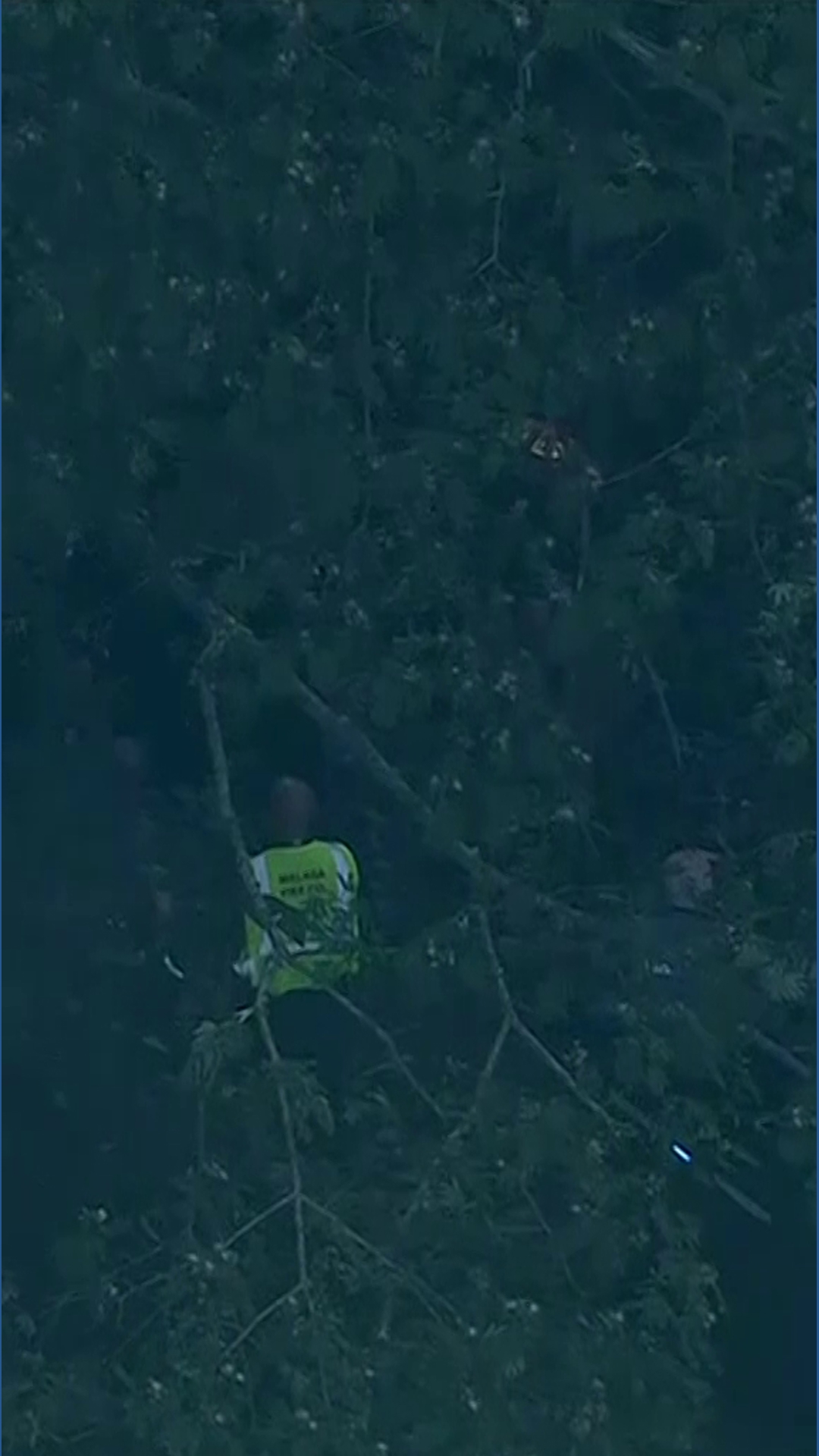 Virginia-based skydiving plane crashes in New Jersey, injuring 15 ...