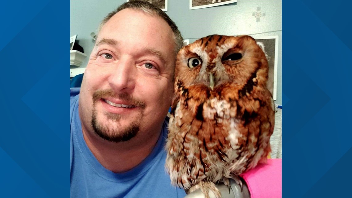 York-Poquoson sheriff's deputy rescues Eastern Screech Owl | 13newsnow.com