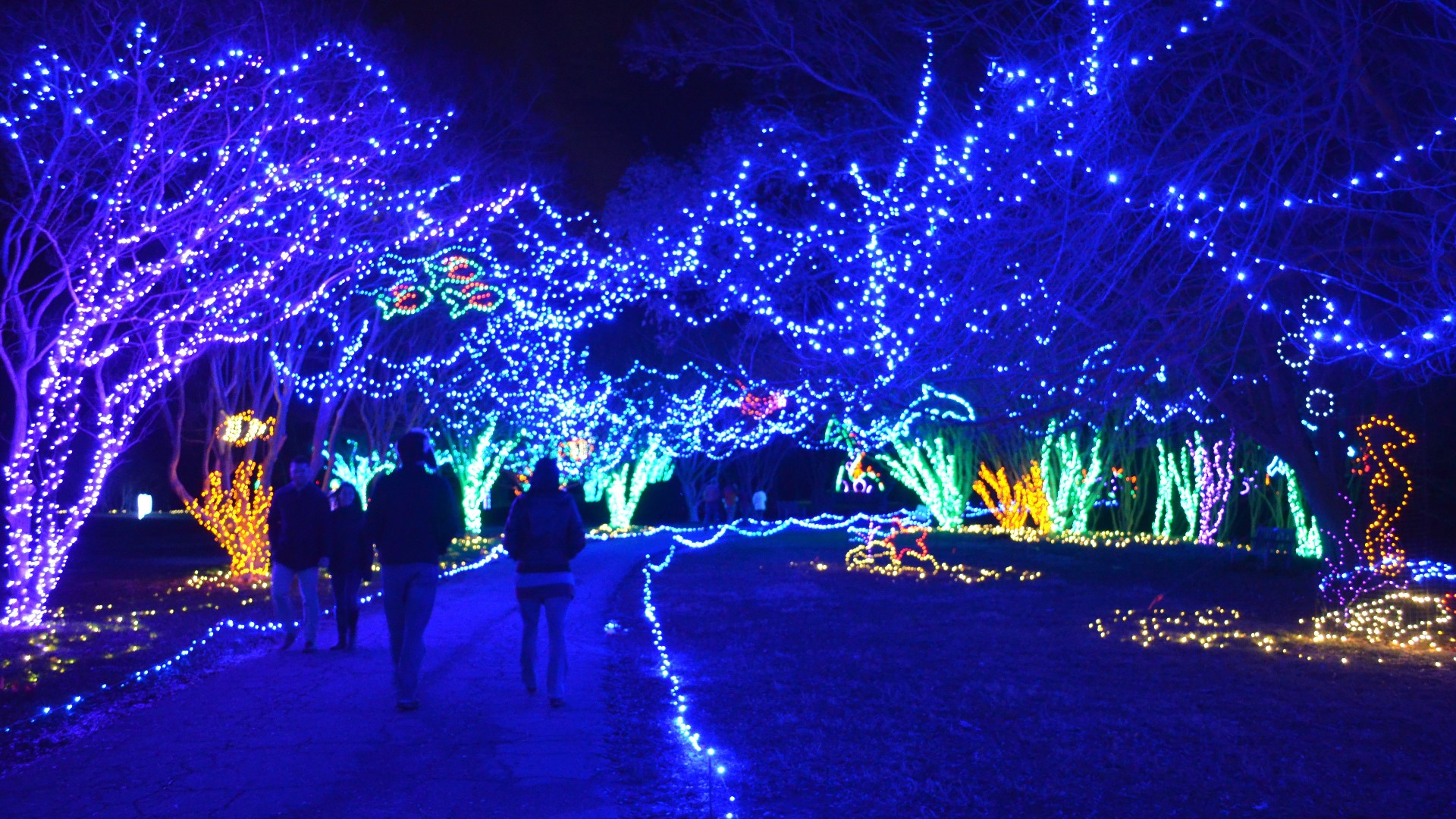 Million Bulb Walk tickets go on sale Friday | 13newsnow.com