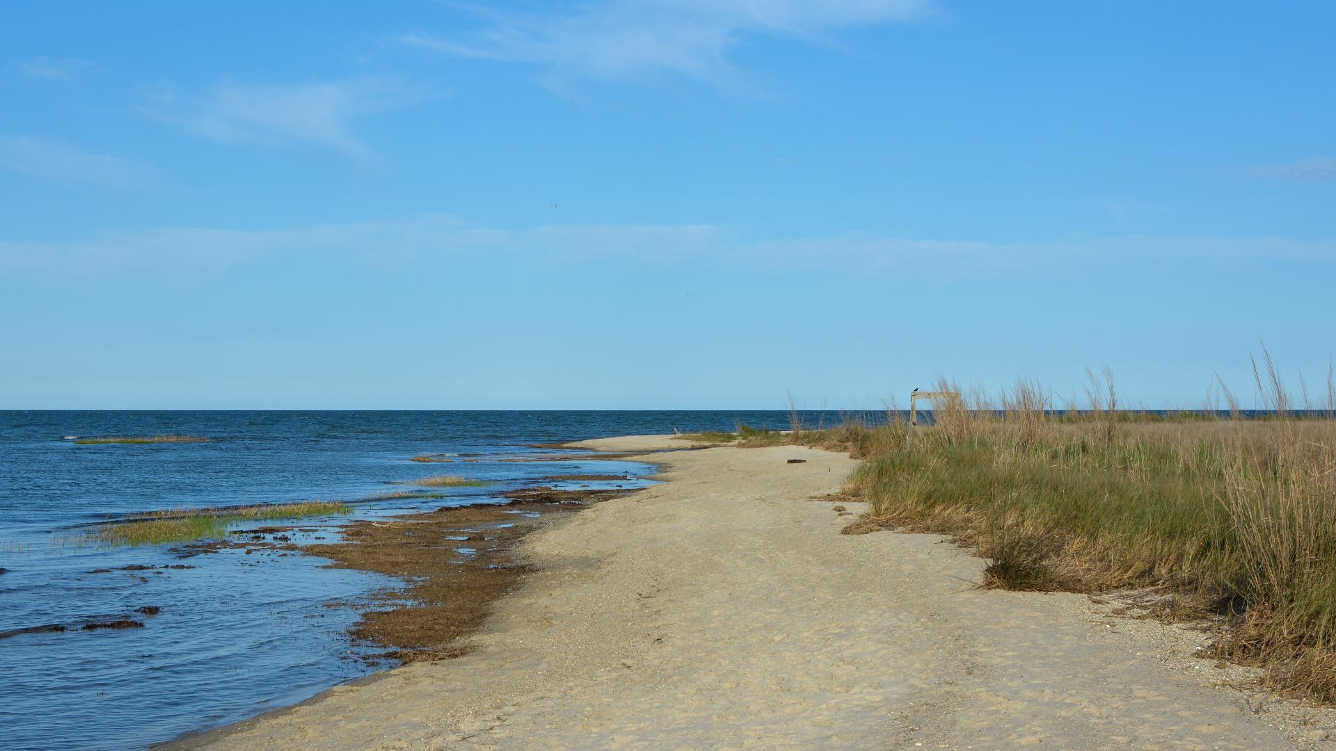 Virginia Middle Peninsula marshes bring $90M annual economic benefits ...