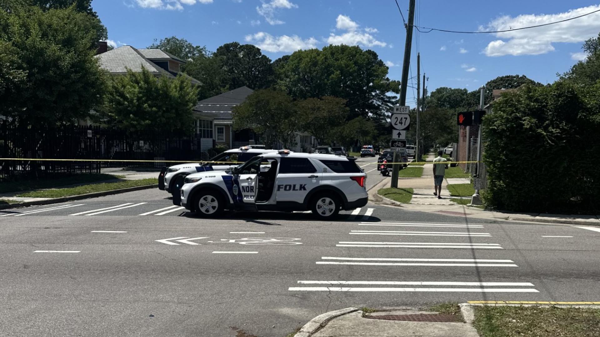 Dead whale off Virginia coast had vessel strike injuries: NOAA ...
