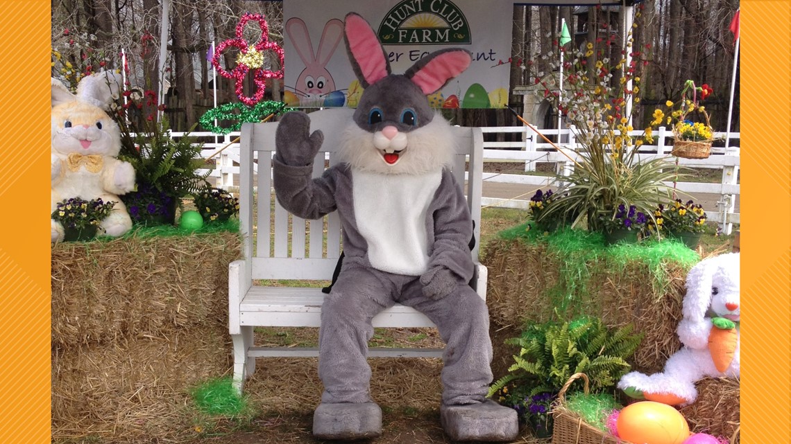 Farm in Virginia Beach offers drive-thru Easter Bunny experience in ...