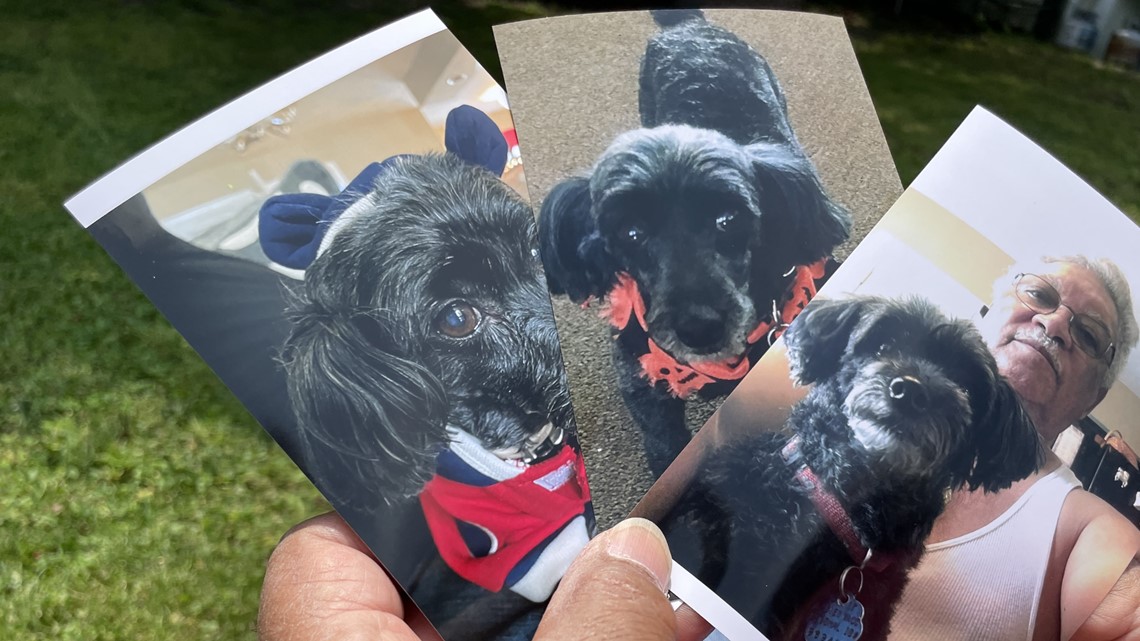 Hampton man's dog attacked, killed by suspected coyote | 13newsnow.com