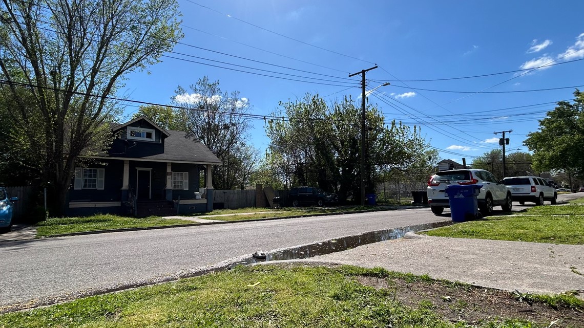 Woman dies after being mauled by 3 pit bulls in Portsmouth | 13newsnow.com