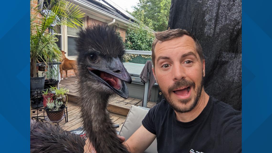 Va. Beach man wins fight to keep emu as emotional support animal ...