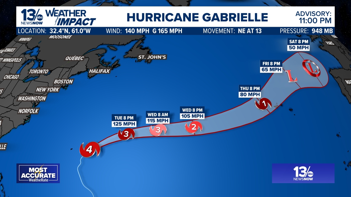 Fabio's face vs. goose roller coaster accident at Busch Gardens ...