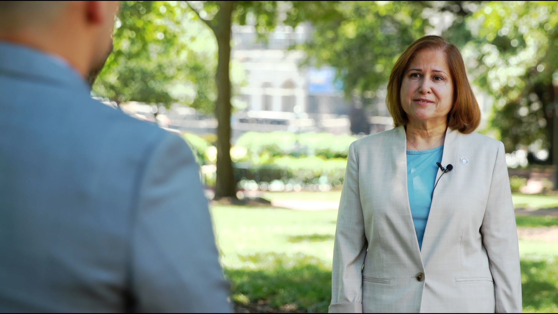 Virginia Democratic Lt. Governor candidate Ghazala Hashmi interview ...