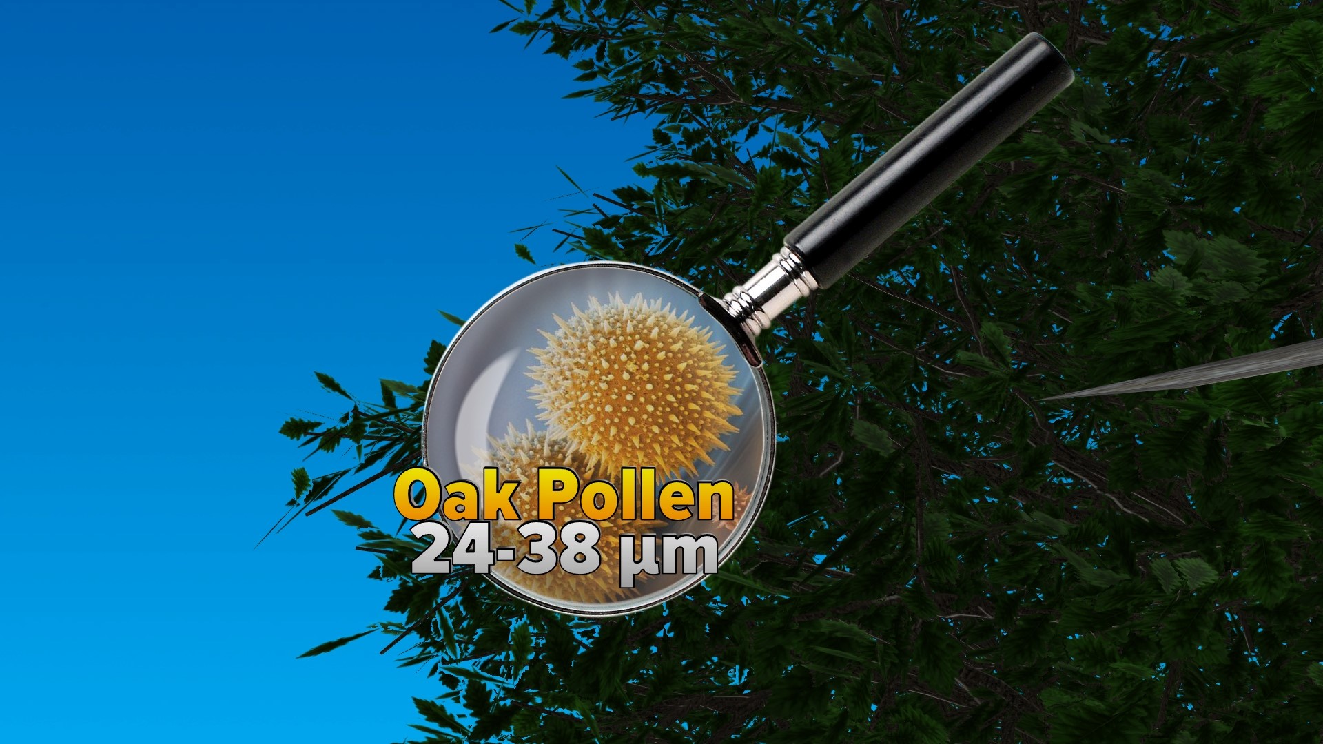 Did you know yellow pollen you see isn't what makes you sneeze ...