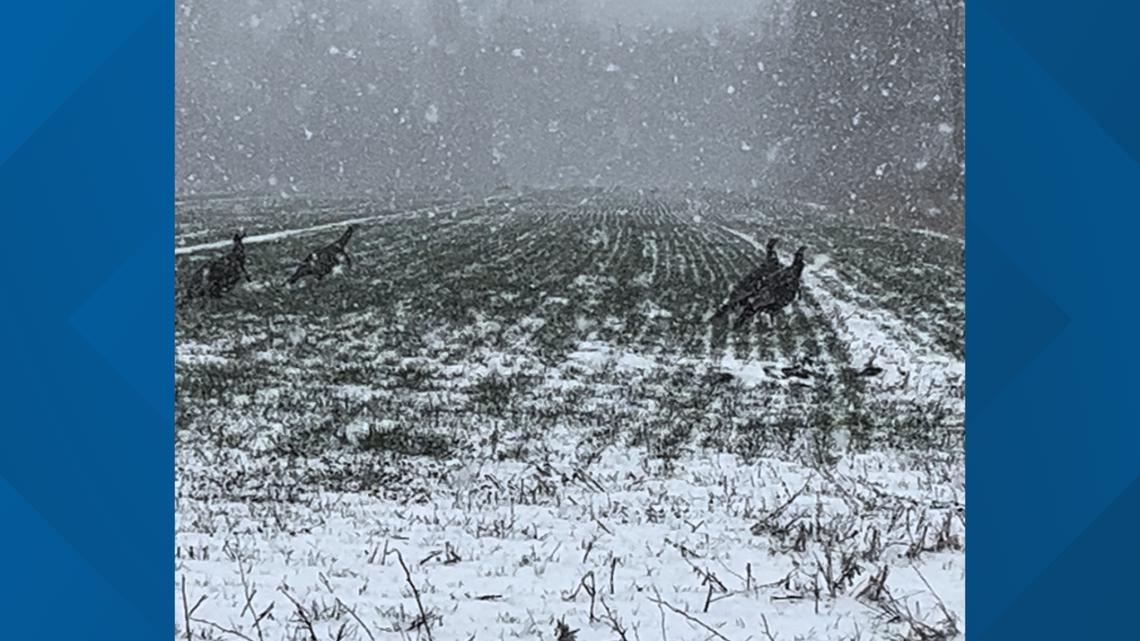 Stunning scenes from a record-breaking snowstorm in coastal Virginia ...
