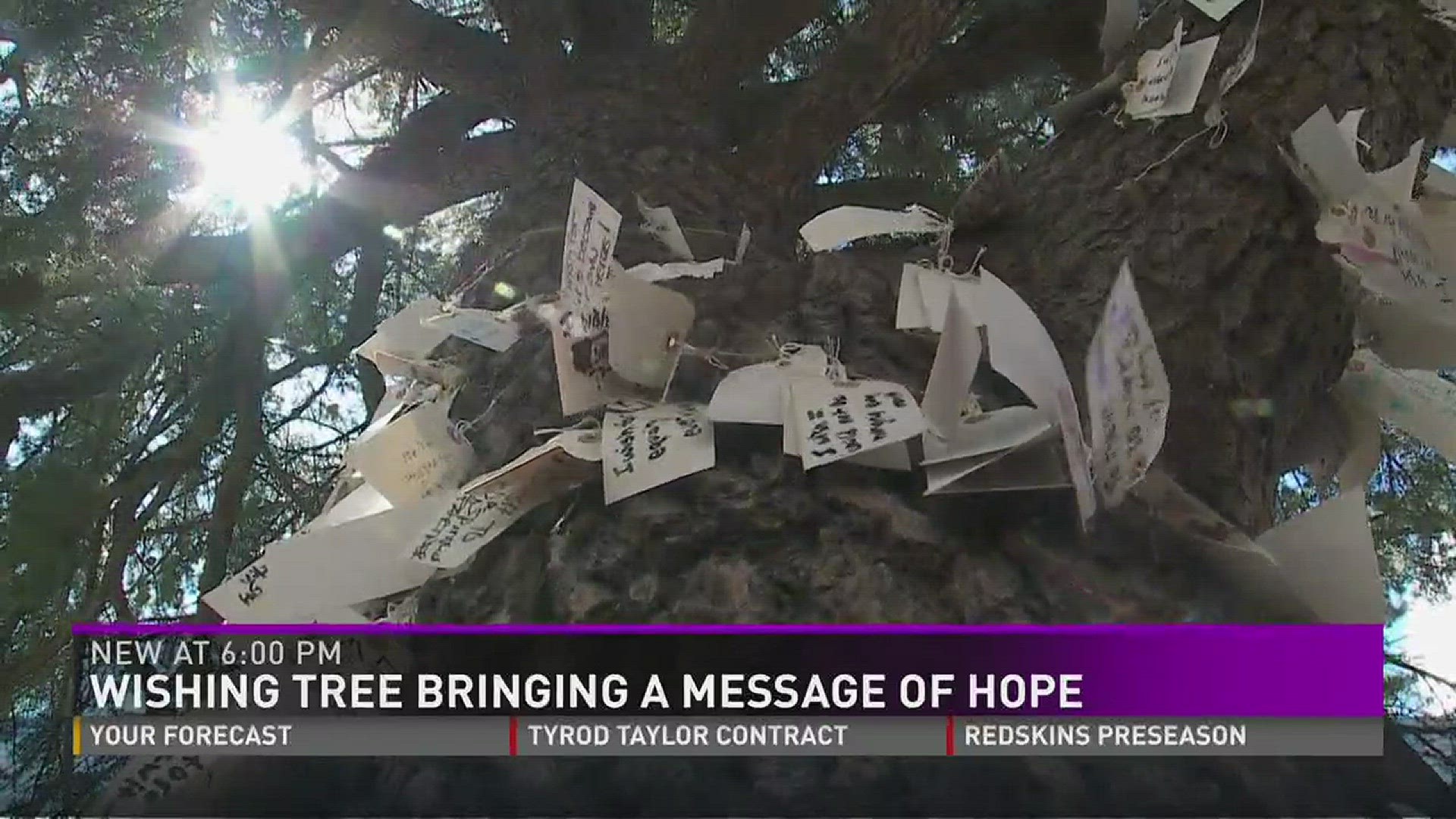 Wishing Tree Message