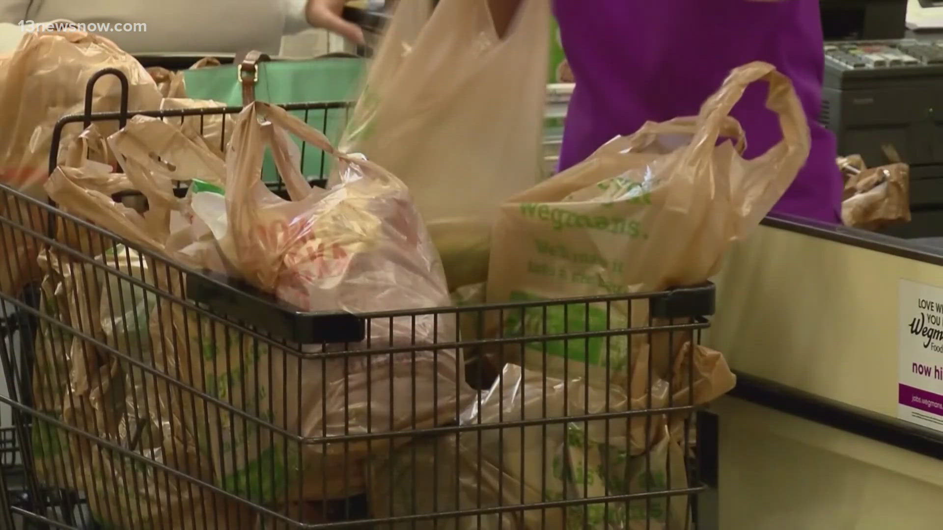 Virginia Beach environmental group pushes for plastic bag usage fee ...