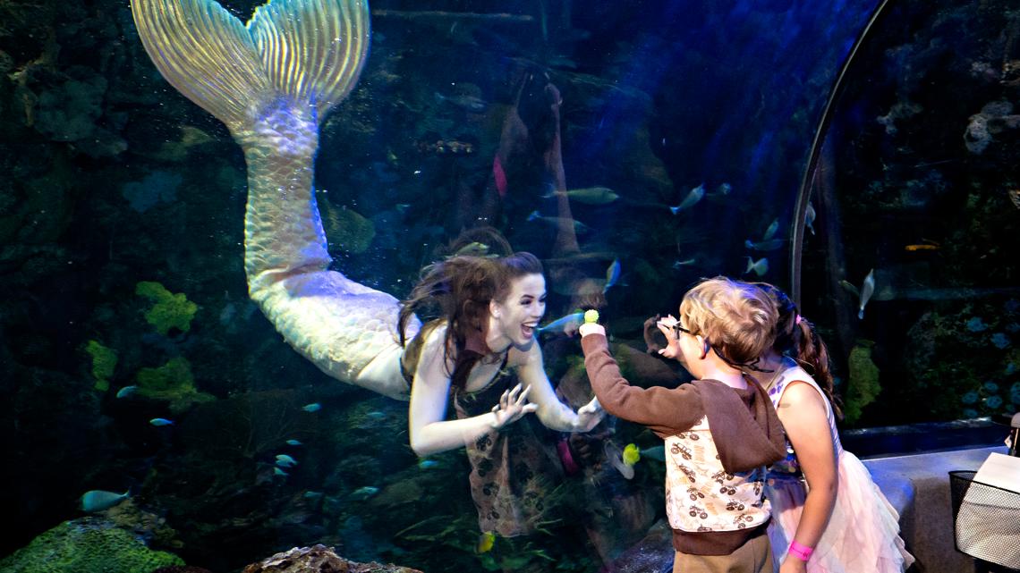 Virginia Aquarium hosting fun fantasy mermaid event | 13newsnow.com